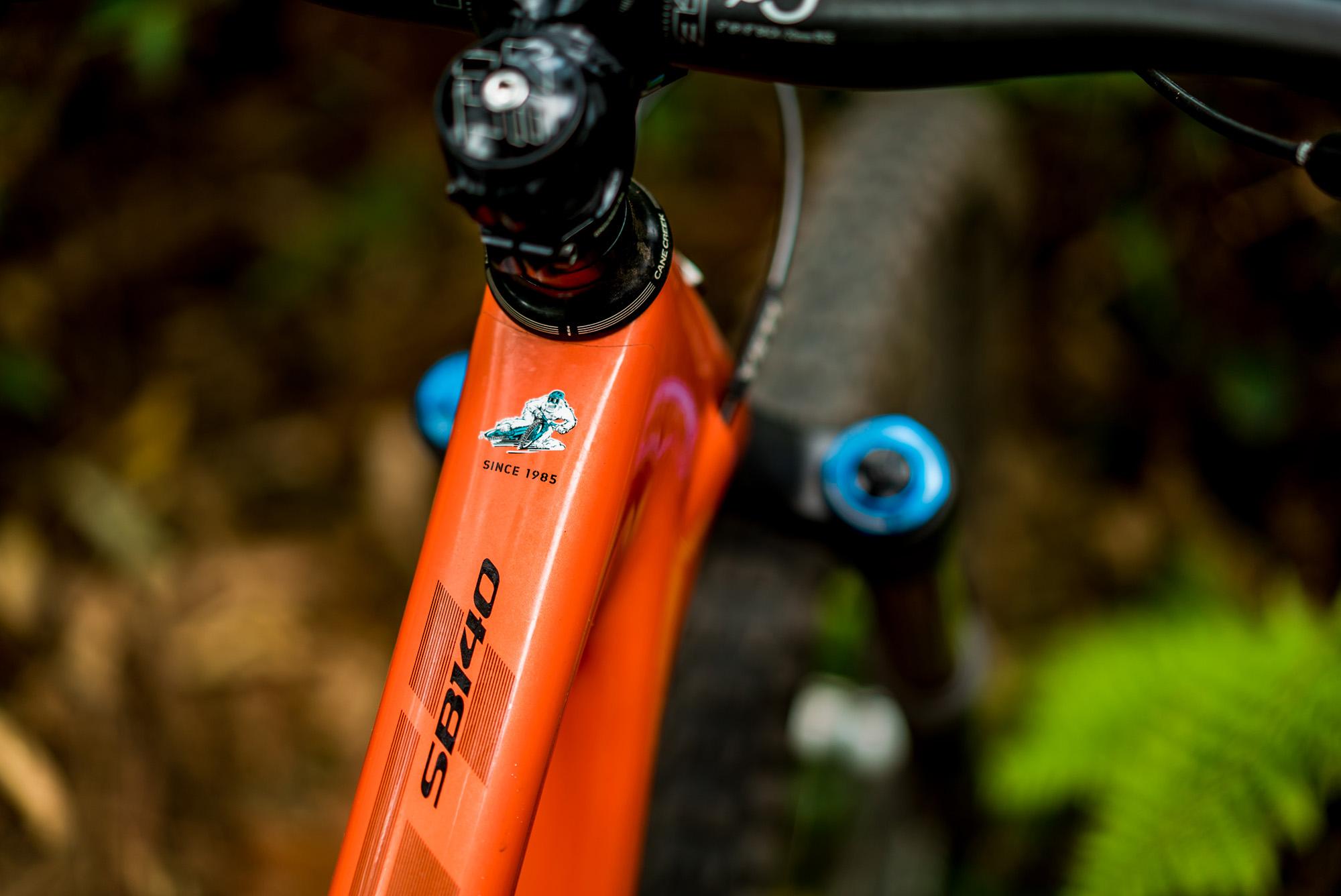 [R]eviewed // Yeti SB 140 - [R]evolution MTB